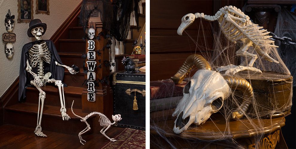 Halloween Skeletons & Skeleton Decorations - Halloween Skulls | Party City